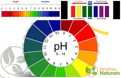 Como alcalinizar o seu corpo ter saúde | Receitas Naturais